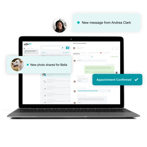 Cloud Based Practice Management Software | IDEXX Veterinary Software